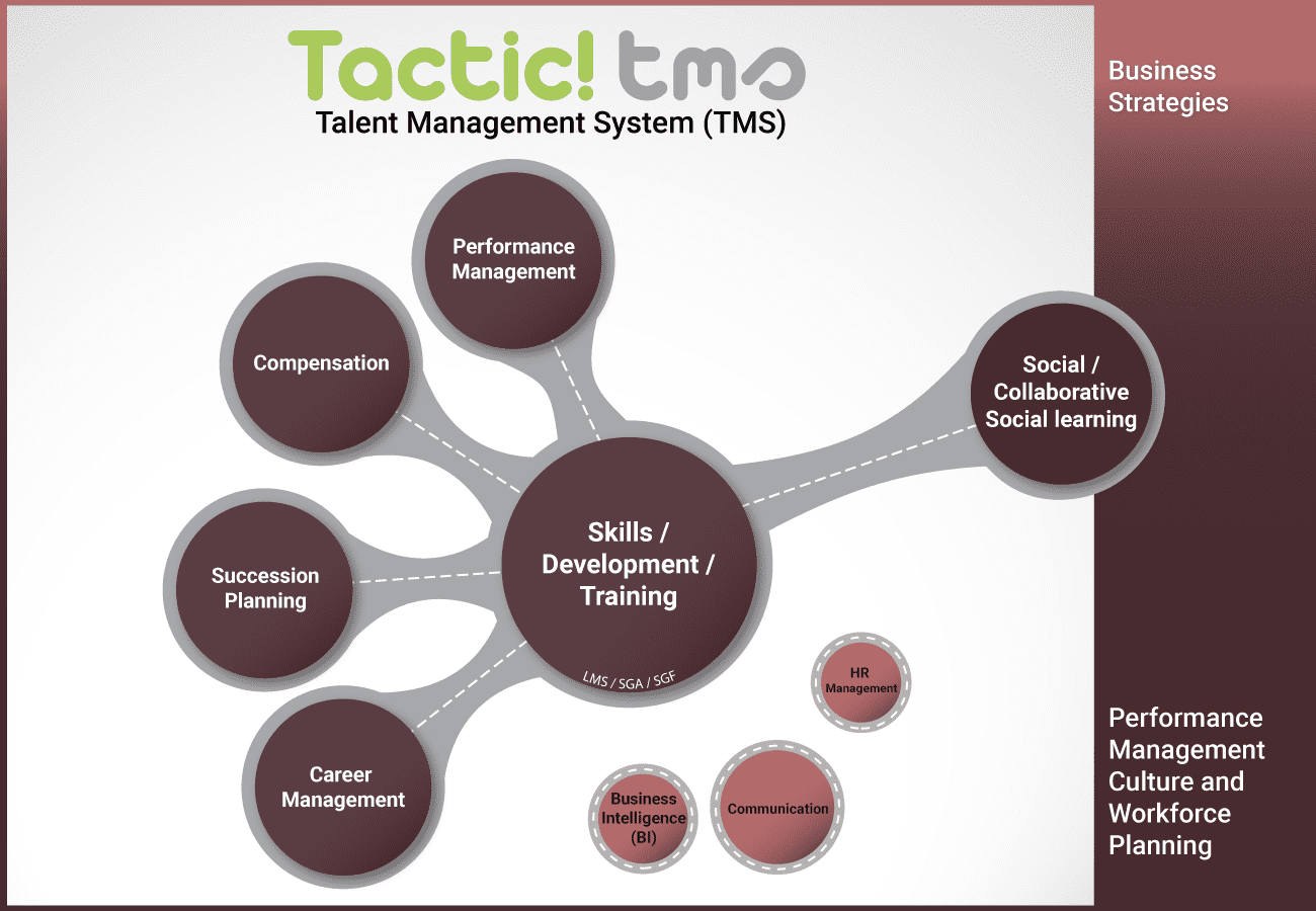 Platform Talent Management | Tactic! TMS | Edu-Performance
