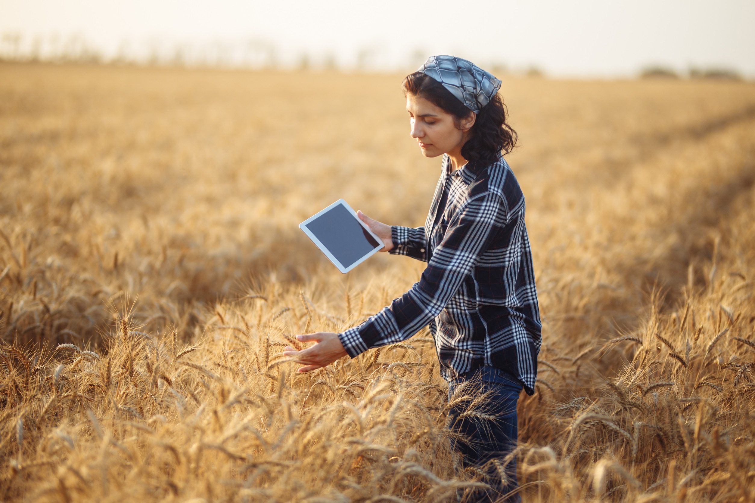 Remote Areas and Training